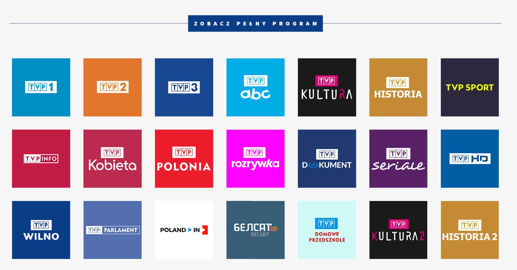 POLSKA TELEWIZJA przez INTERNET - jak oglądać Polską TV Online